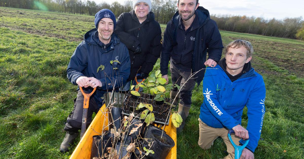 Sunderland residents celebrate National Tree Week with tree planting at ...